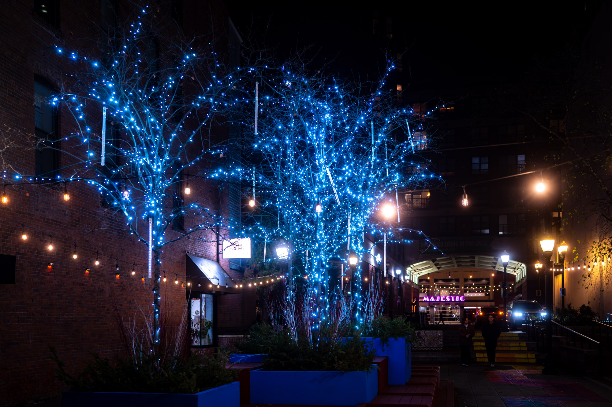 Stamford Downtown Winter Lighting Program - Stamford Downtown