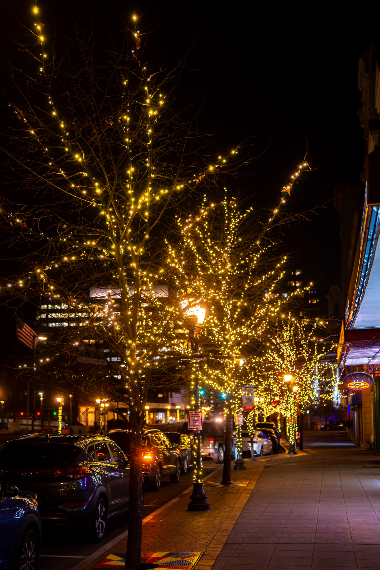 Stamford Downtown Winter Lighting Program - Stamford Downtown