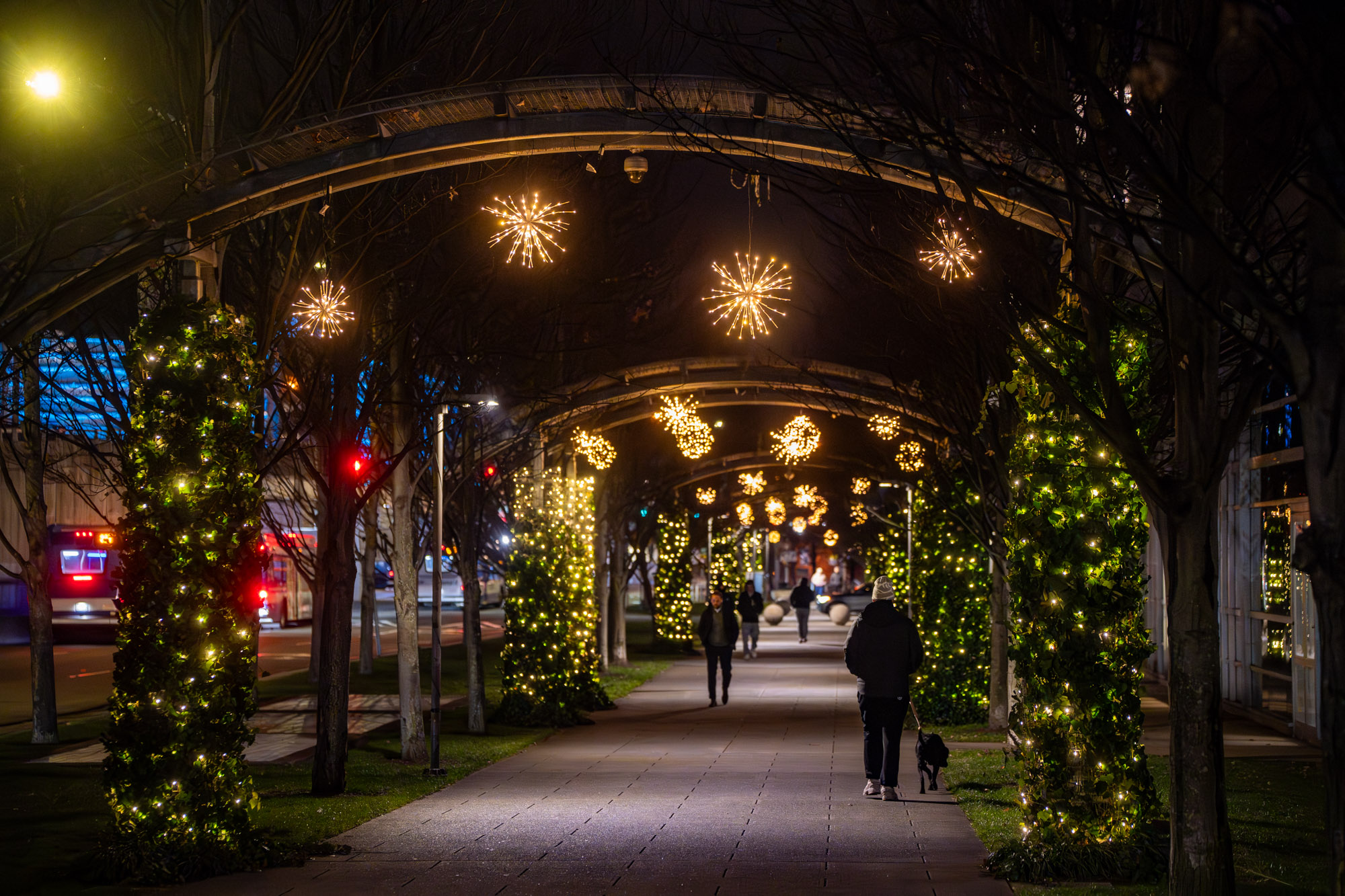 Stamford Downtown Winter Lighting Program - Stamford Downtown